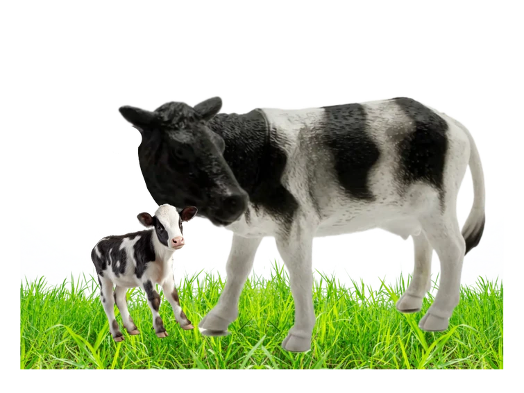 Cow Calf Enfagrow Preescolar Grass | Fandom