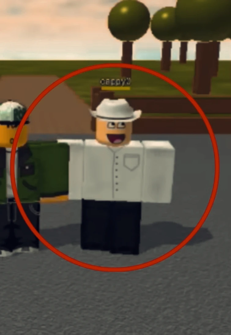 Skin Ideas (Rochas313) | Fandom