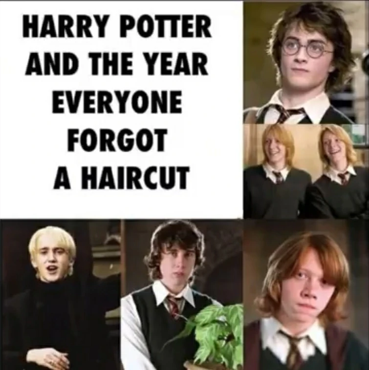 Just my immense collection of HP memes | Fandom