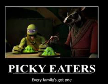 TMNT Meme Of The Day | Fandom