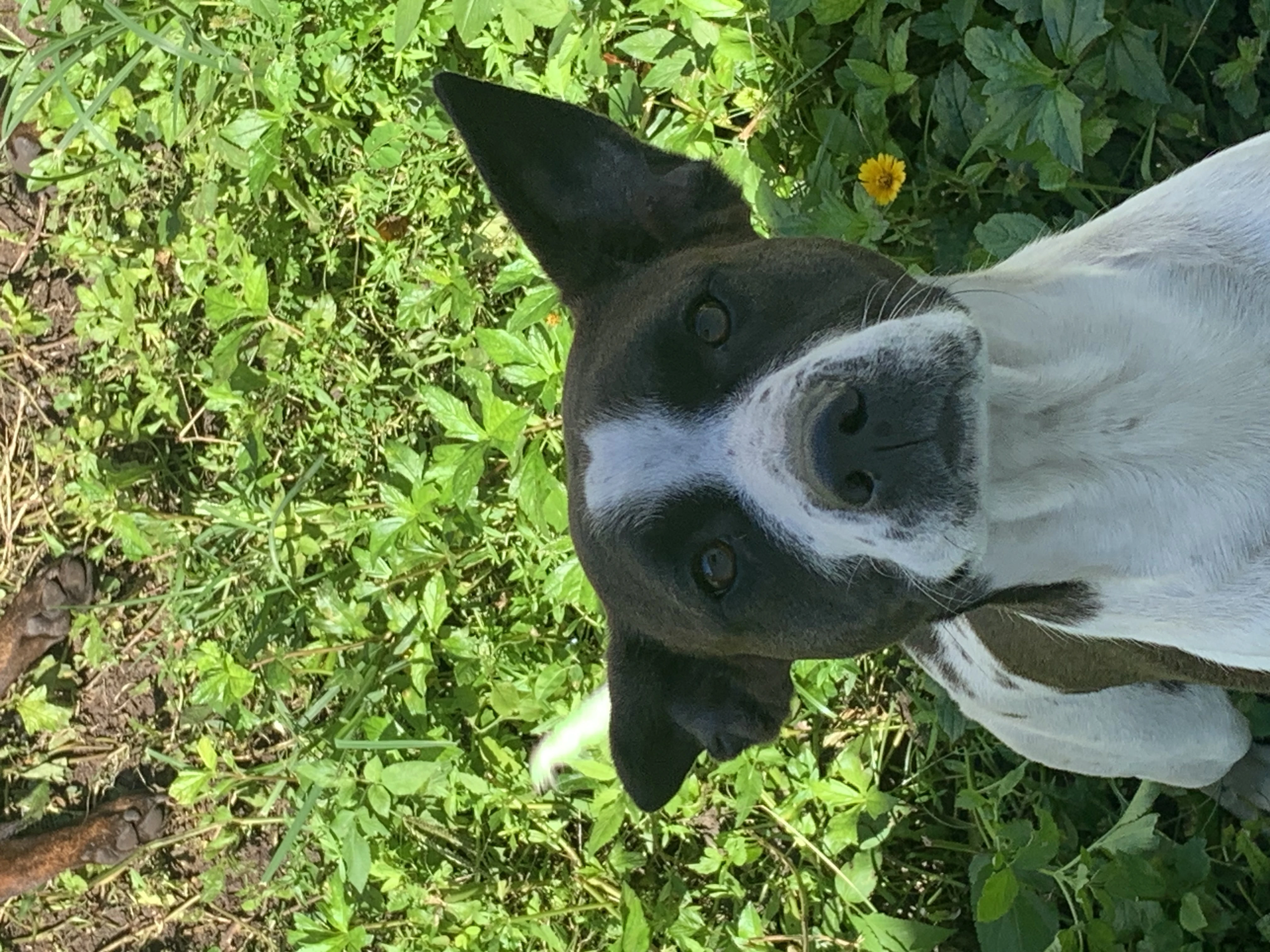 hello again | Fandom