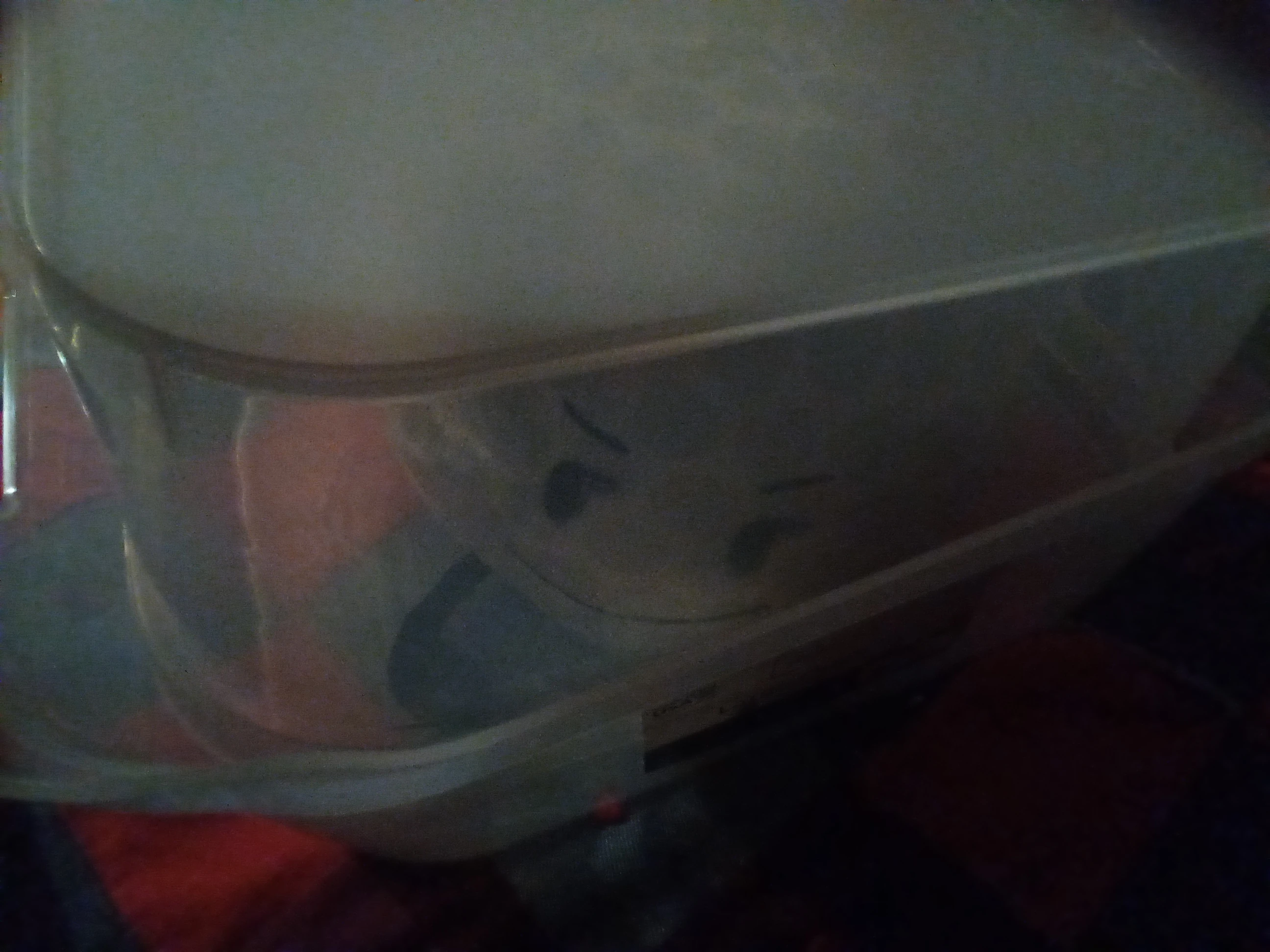 Containment | Fandom