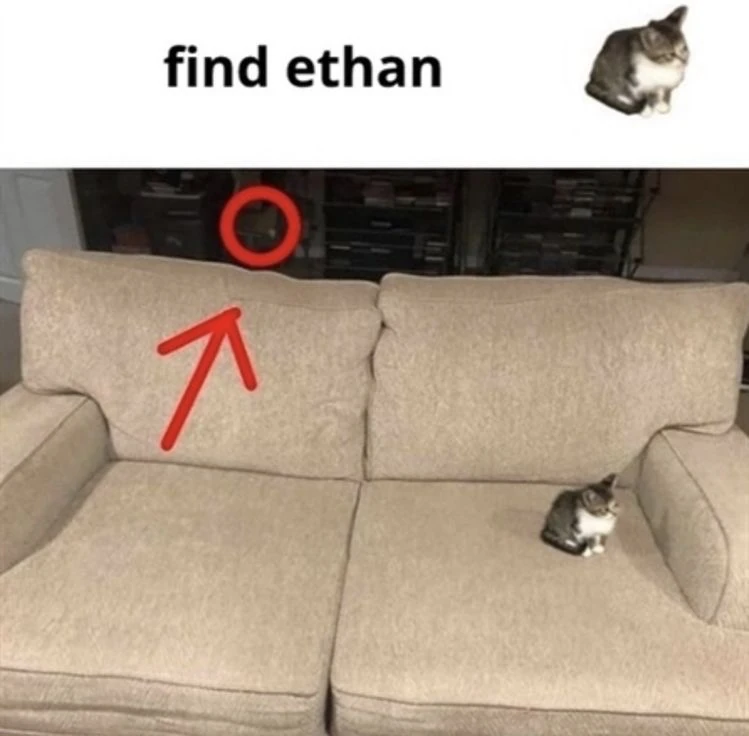 Ccan you find ethan | Fandom