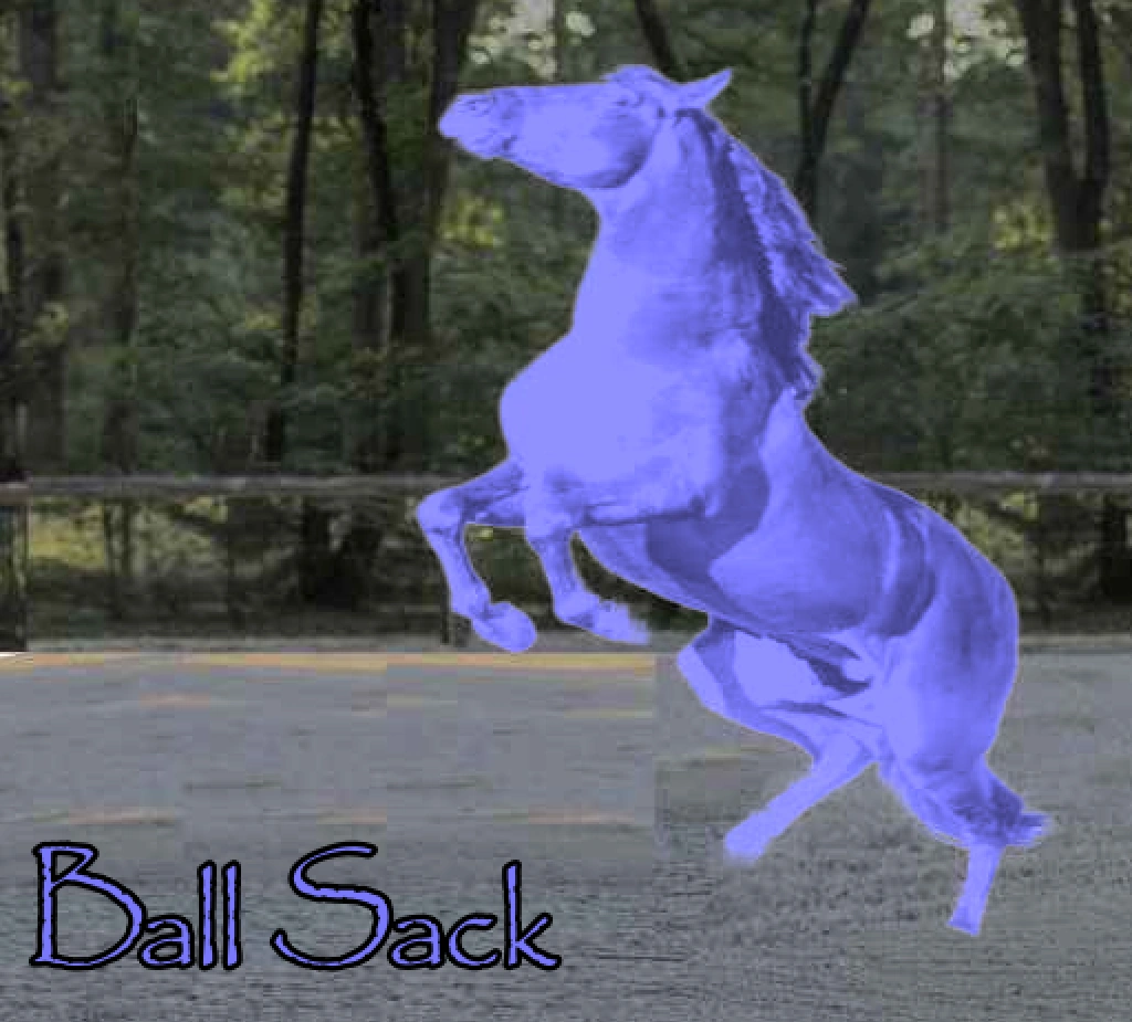 BALL SACK | Fandom