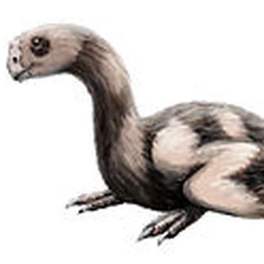 Discuss Everything About Dinopedia | Fandom