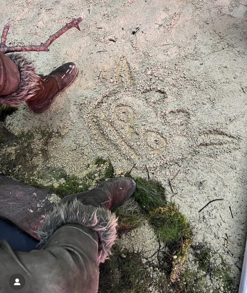 First glimpse of Hiccup's costume in the Live Action! | Fandom