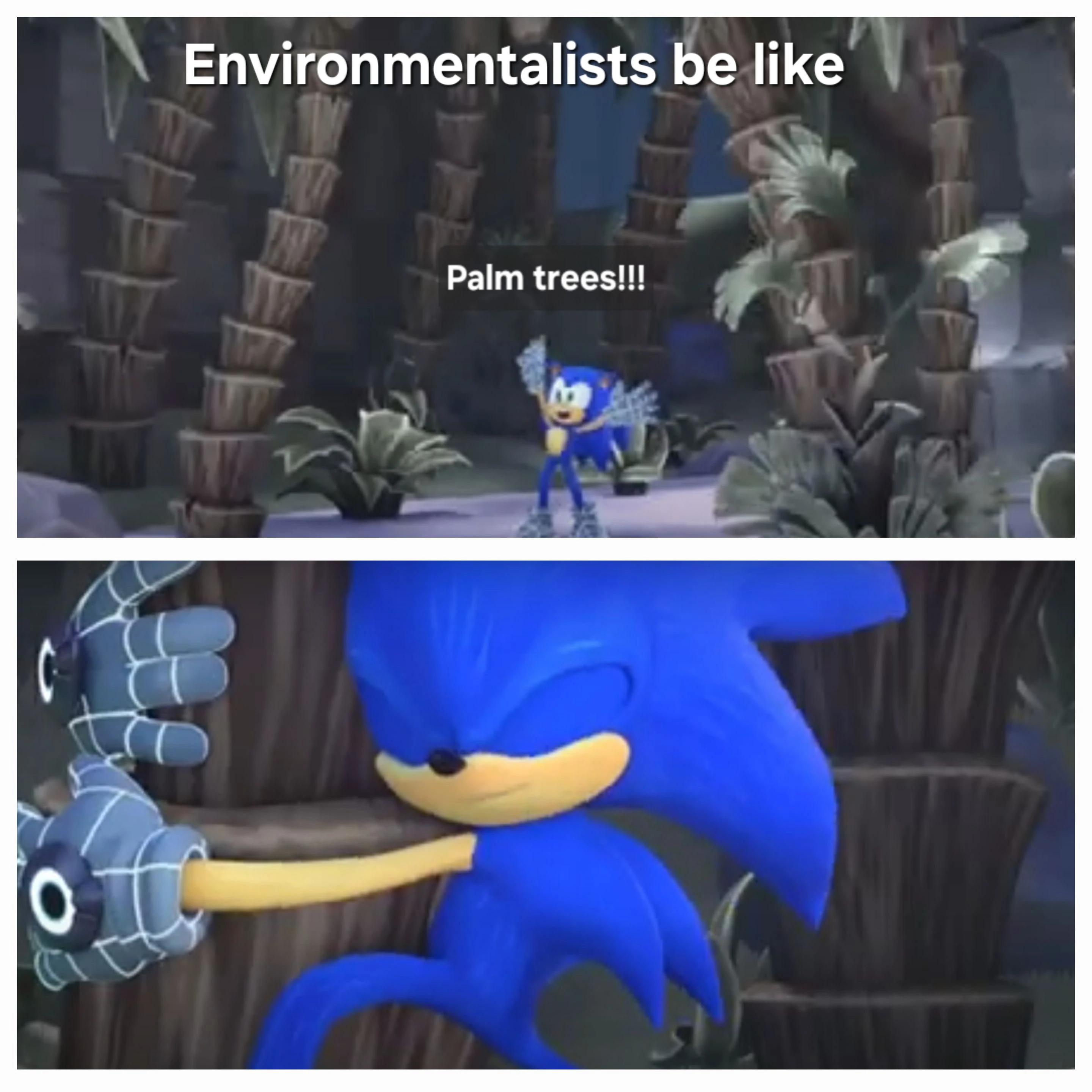 Just another Sonic Meme (Sonic Prime Edition) Click post to see all ...