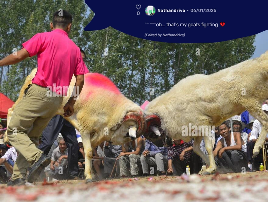 ok gn -w- ima tired | Fandom