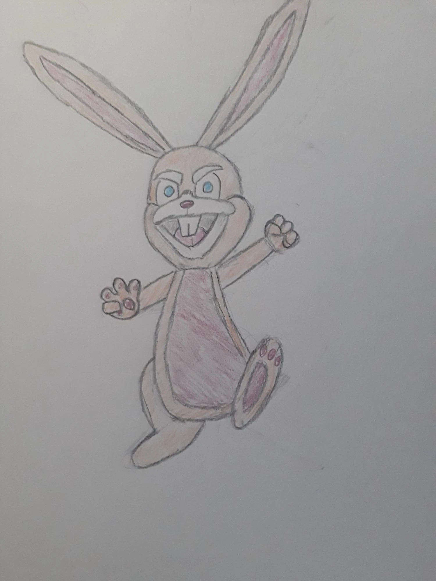 Boingo Bunny | Fandom