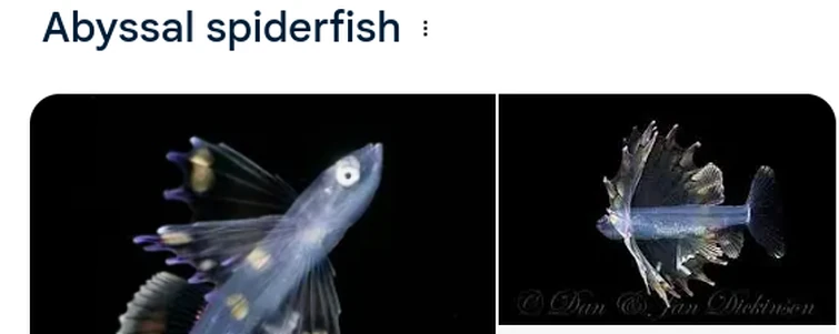 HELP ME WHAT IS THIS BEAUTIFUL CREATURE CALLED | Fandom