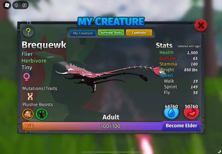 my brequewk 🤩🤩🤩 | Fandom