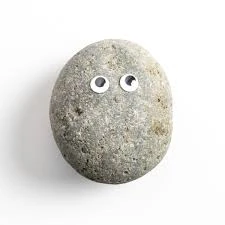 pet rock | Fandom
