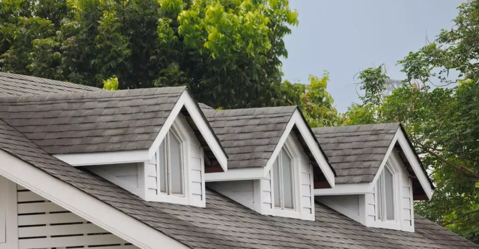 Shingles | Fandom