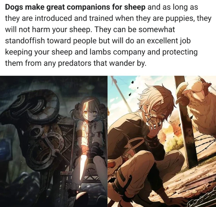 Hi to the 3 Akikoha fans online at this time | Fandom