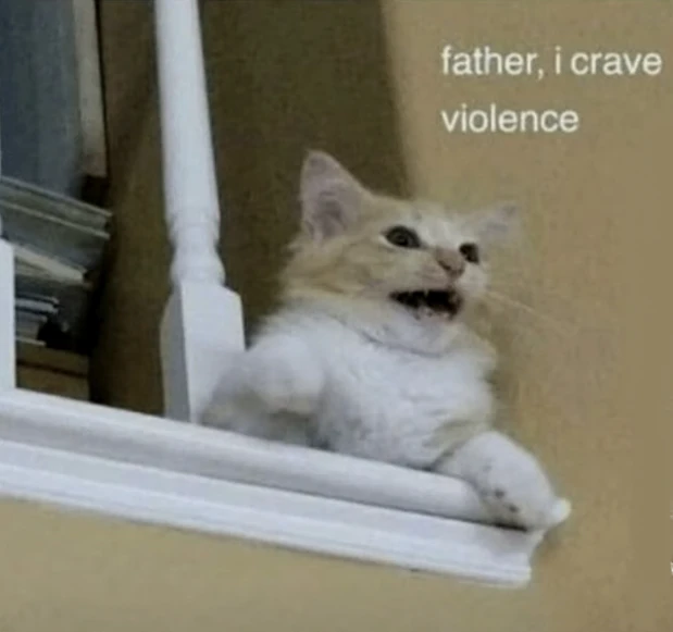 Trading Ember Spirit plush for Smore cat plush | Fandom