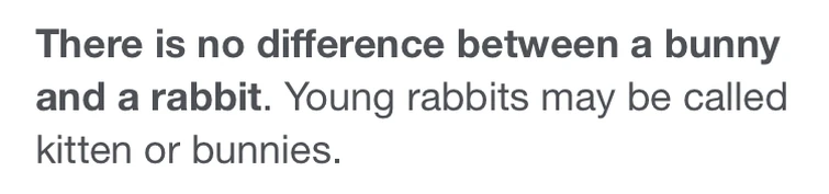 Rabbit miraculous change | Fandom