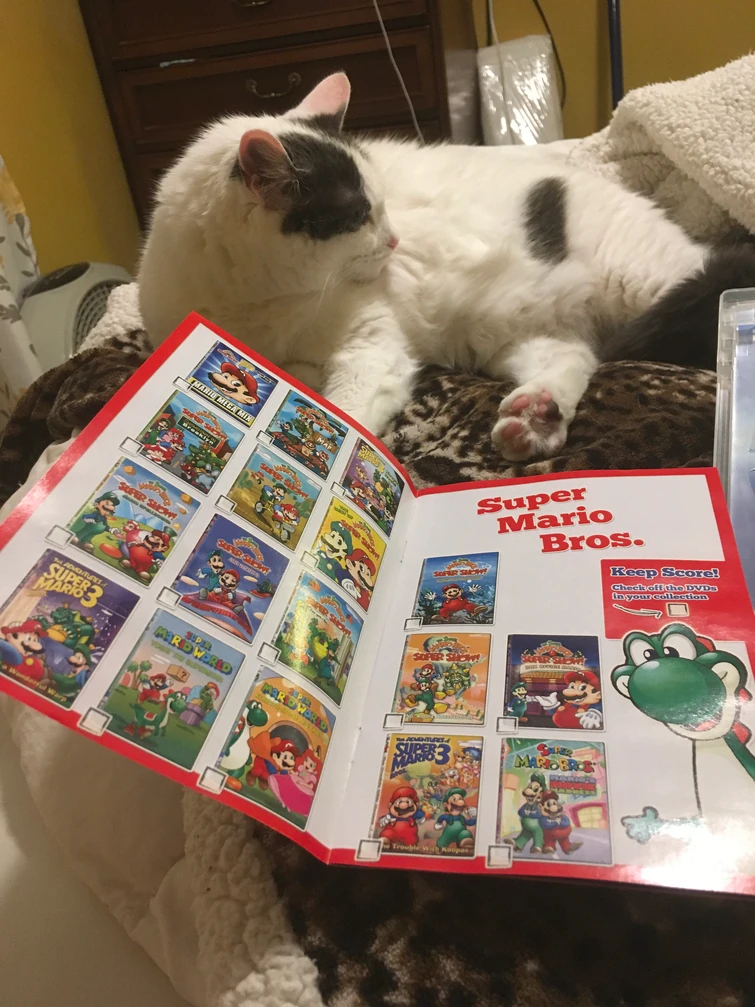 Super Mario cartoon DVDS in Ncircle entertainment book | Fandom