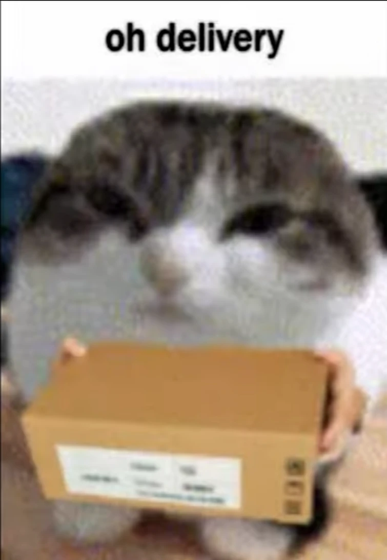 Masahiro Sakurai’s cat | Fandom