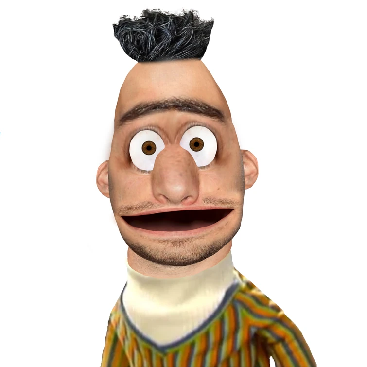 bert in real life | Fandom