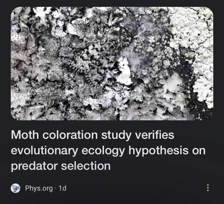 Finally, good news. | Fandom