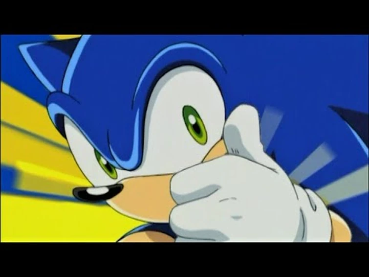 Remember Sonic X? | Fandom