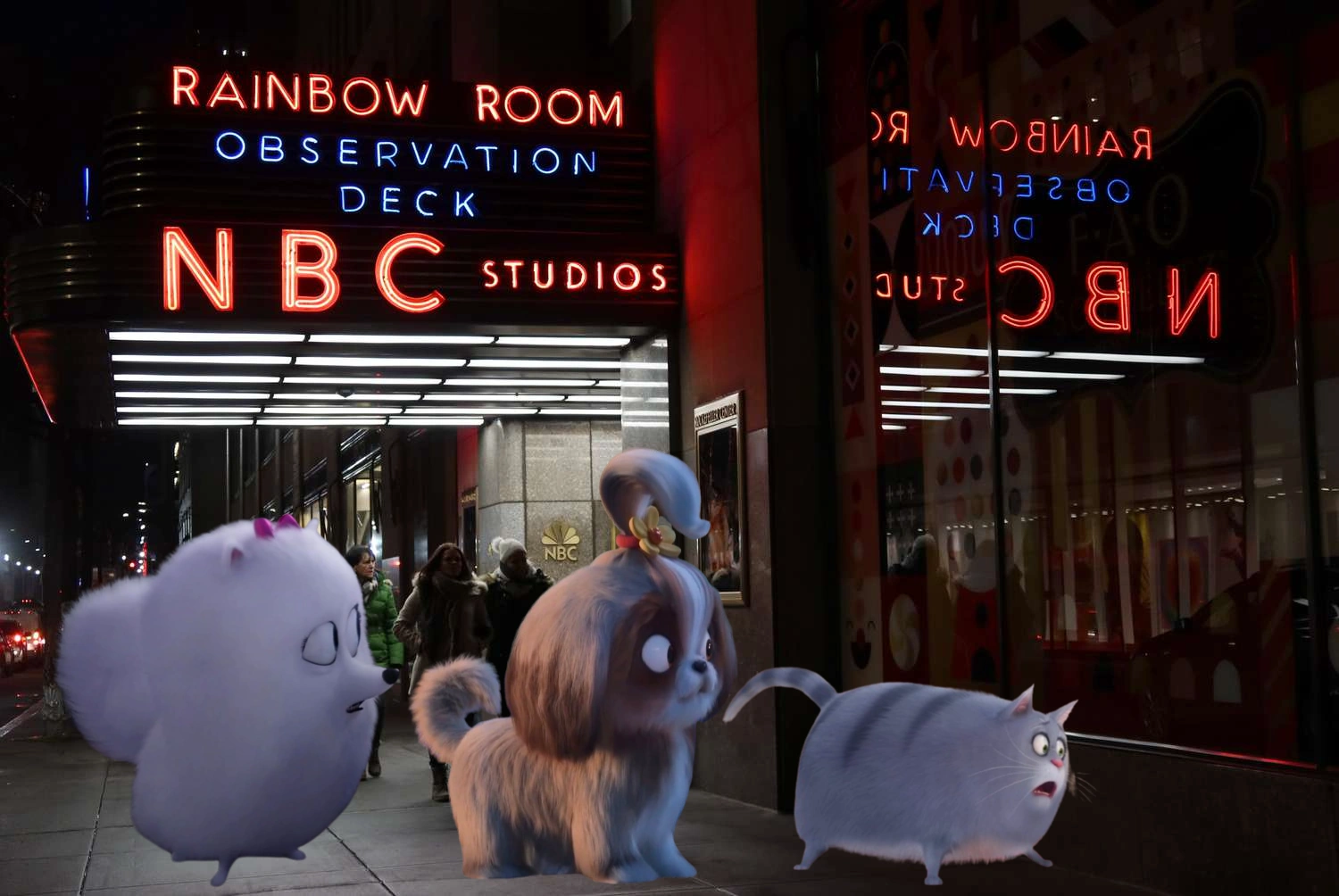 Gidget, Daisy And Chloe In At The NBC Studios Building At Rockefeller Center. | Fandom
