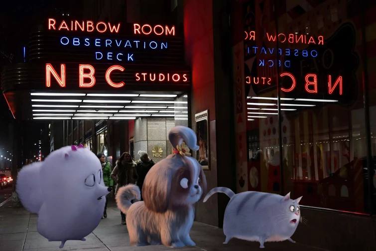 Gidget, Daisy And Chloe In At The NBC Studios Building At Rockefeller ...