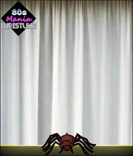 Araknos | 80s Mania Wrestling Returns Wiki | Fandom