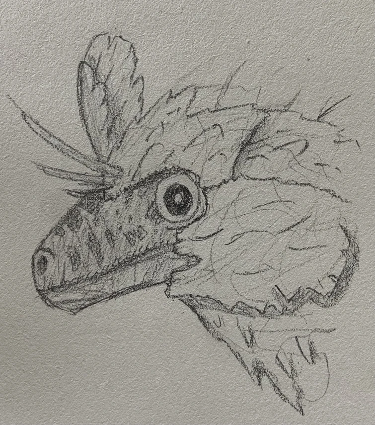 More puffwump | Fandom