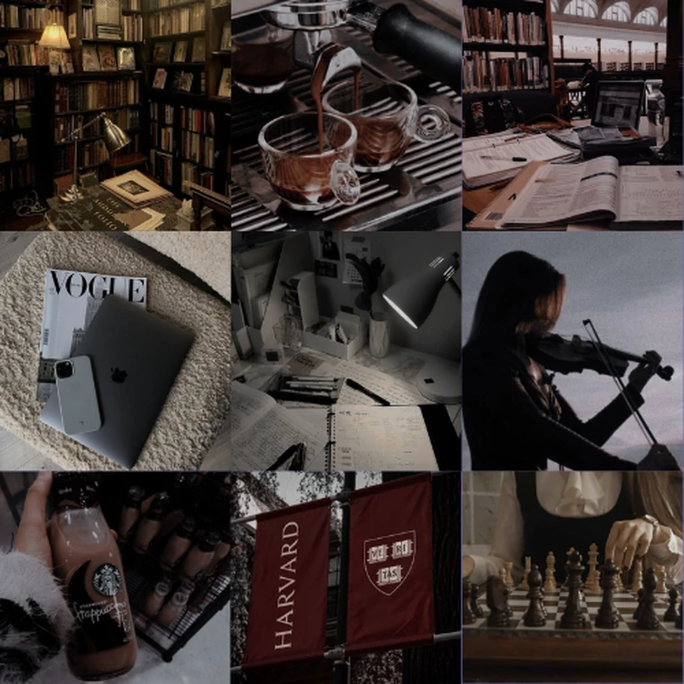 Female Characters Aesthetic Mood Boards (Miraculous AU) | Fandom