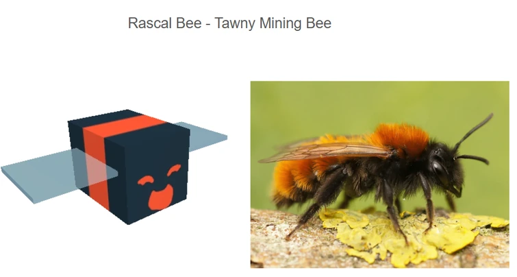 BSS Bees and their irl counterparts! Rares :) | Fandom