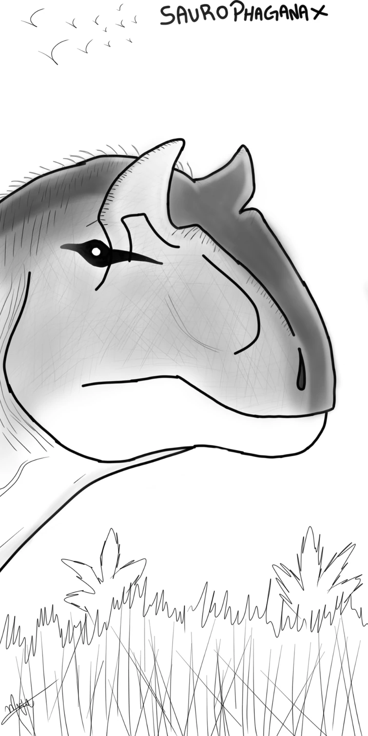 Les muestro como dibujaba antes y ahora. (Allosauridae) | Fandom