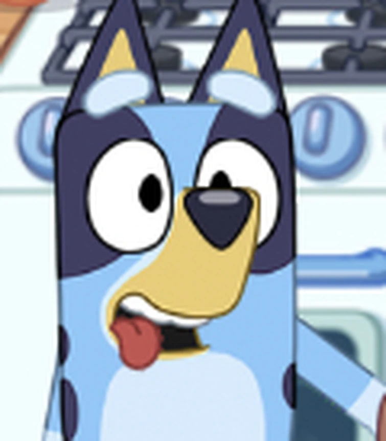 Daily dose of Bluey Let’s Play | Fandom