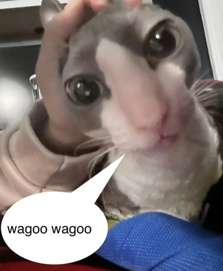 me listening to every single "heat abnormal" cover known to man | Fandom