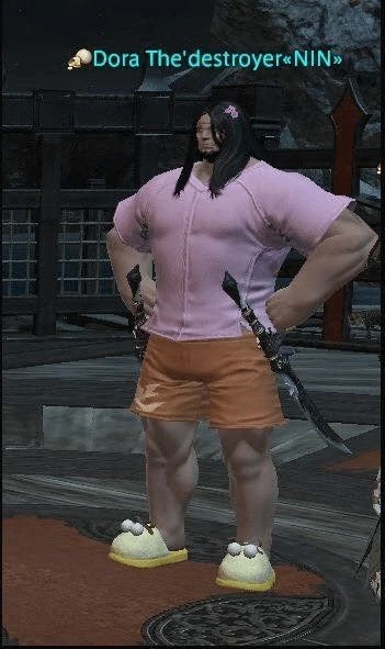 Dora Watch JOJO | Fandom