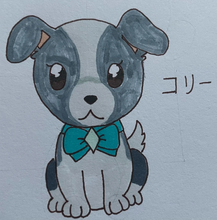 Wonderful style Collie | Fandom