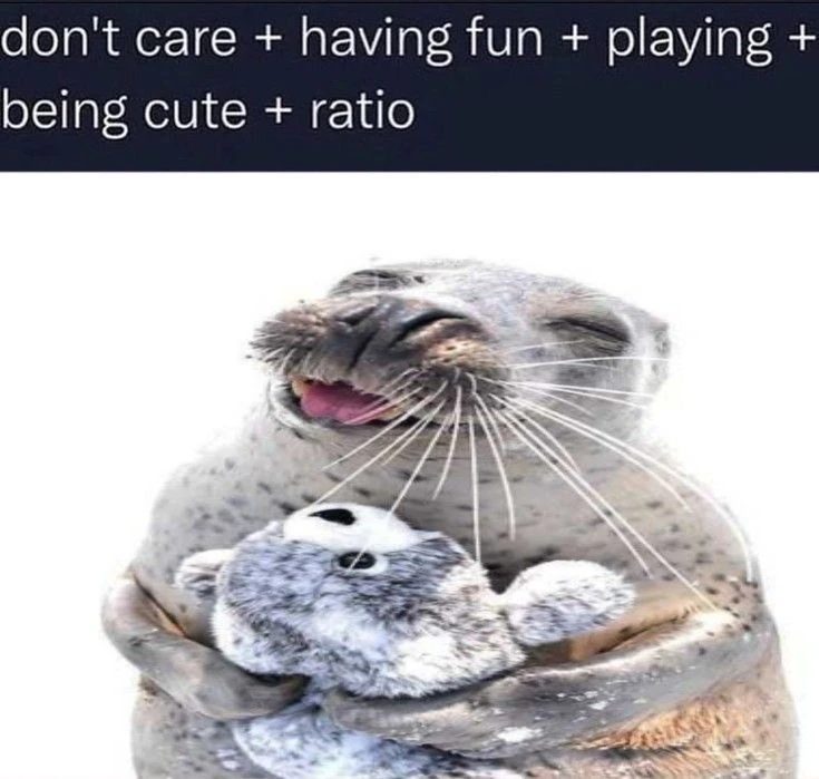 seals are silly | Fandom