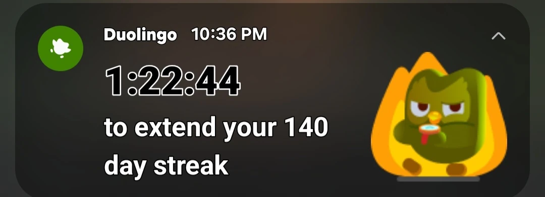 Duolingo's mad 😭 | Fandom