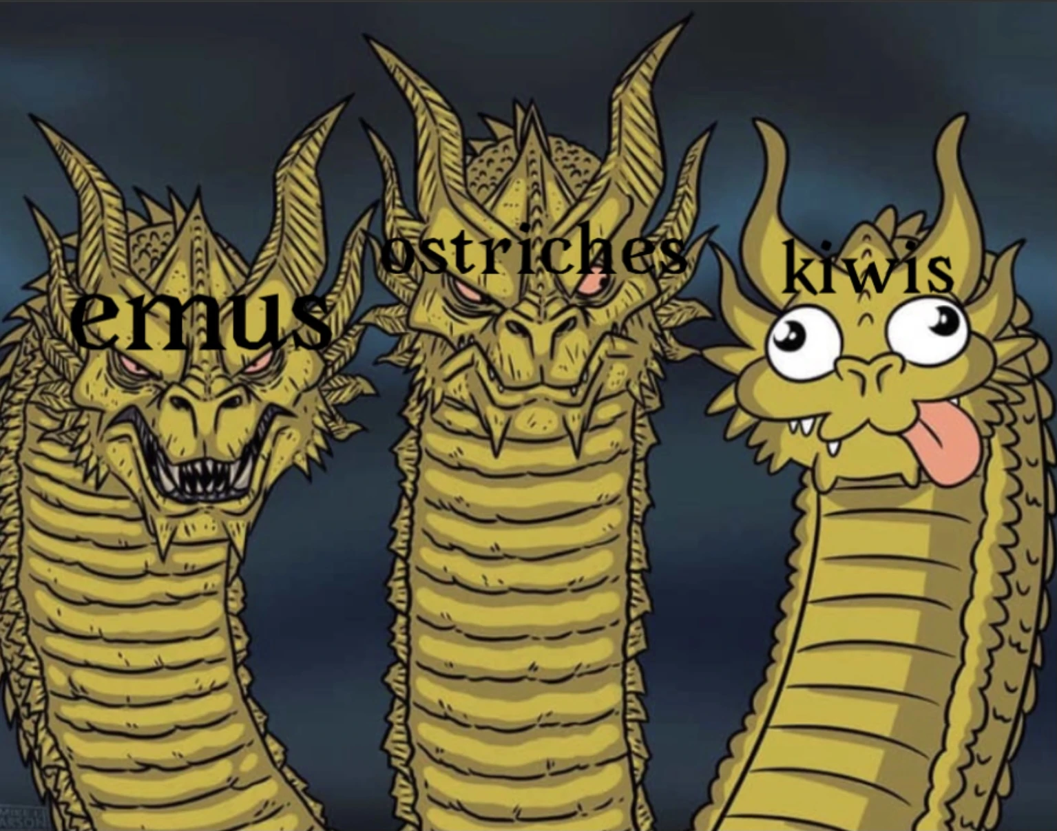 Kiwis are goofy | Fandom