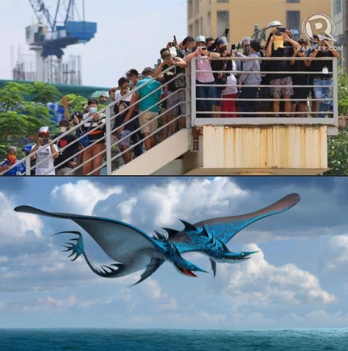 If there is a Seashocker | Fandom