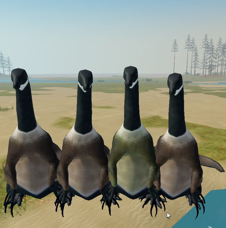 The geese army | Fandom