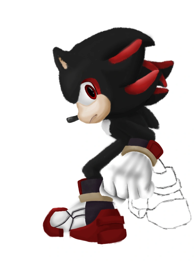 Almost finishing with Shadow | Fandom