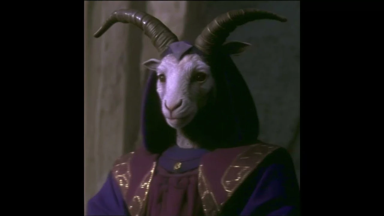 This is just perfect | Fandom