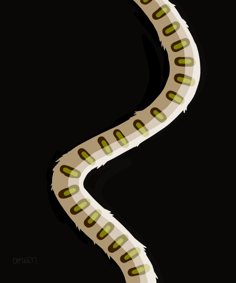 Discuss Everything About Creatures of Sonaria Wiki | Fandom