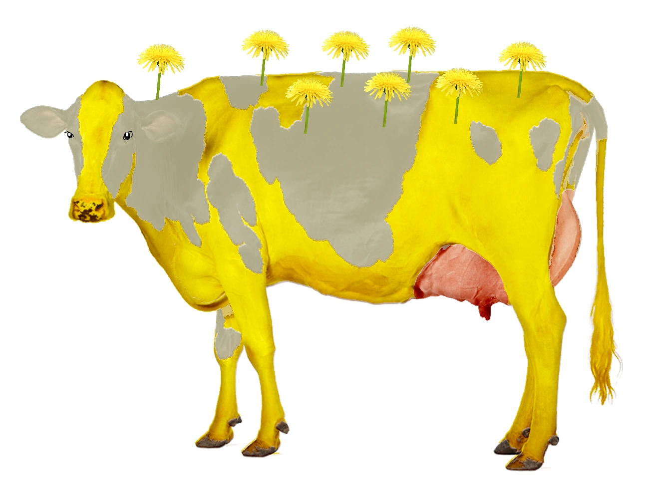 pee cow | Fandom