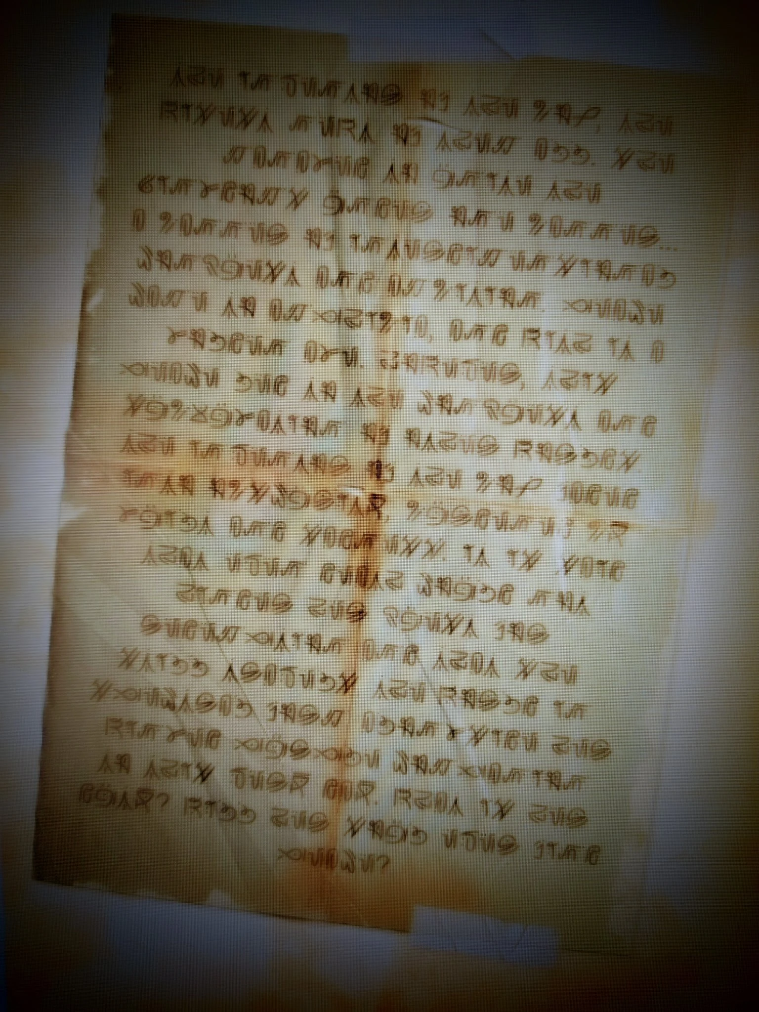 Amphibian Text | Fandom