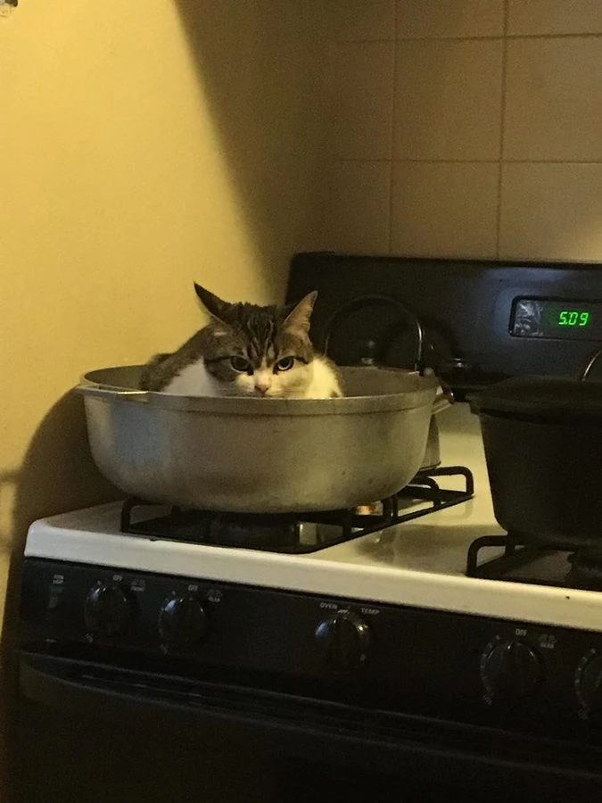 mmnm pot stew | Fandom