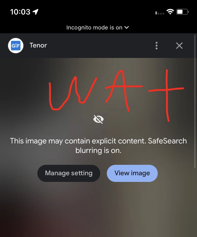Ok I search Roblox bear and I see this:“SafeSearch blurring is on” | Fandom