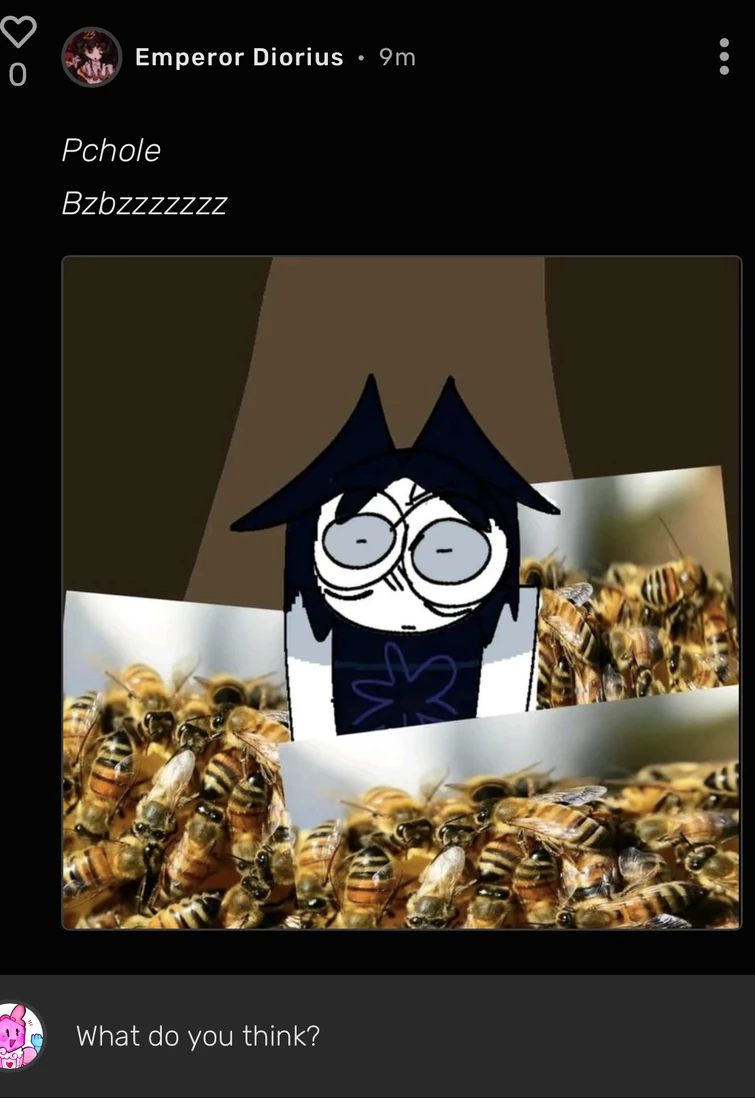 Sleep.. And sleep. | Fandom