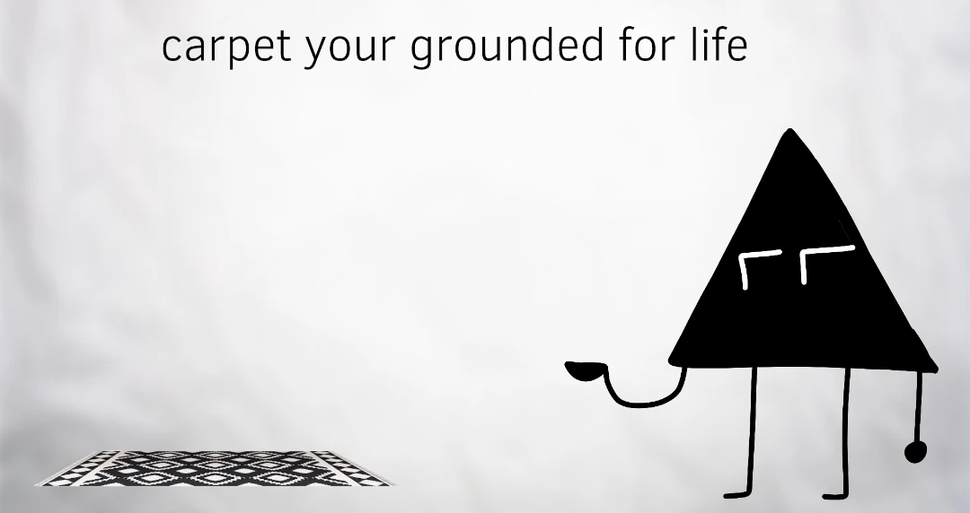 Carpet gets grounded? | Fandom